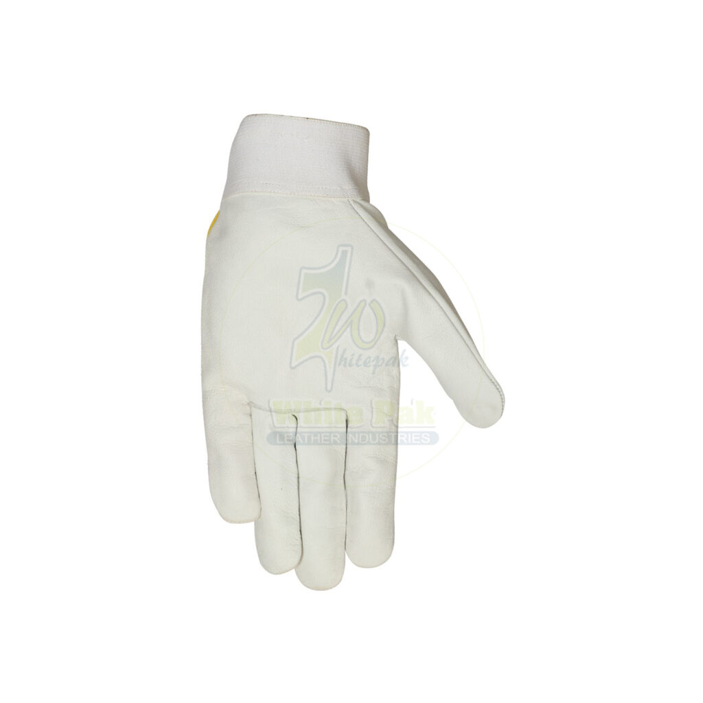 WHITE PAK – Manufacturers Exporters & Importers